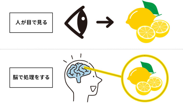 カメラ検査機で用いるカメラの種類とその精度を解説｜歴代IVシリーズの比較で検証 | MFG Hack